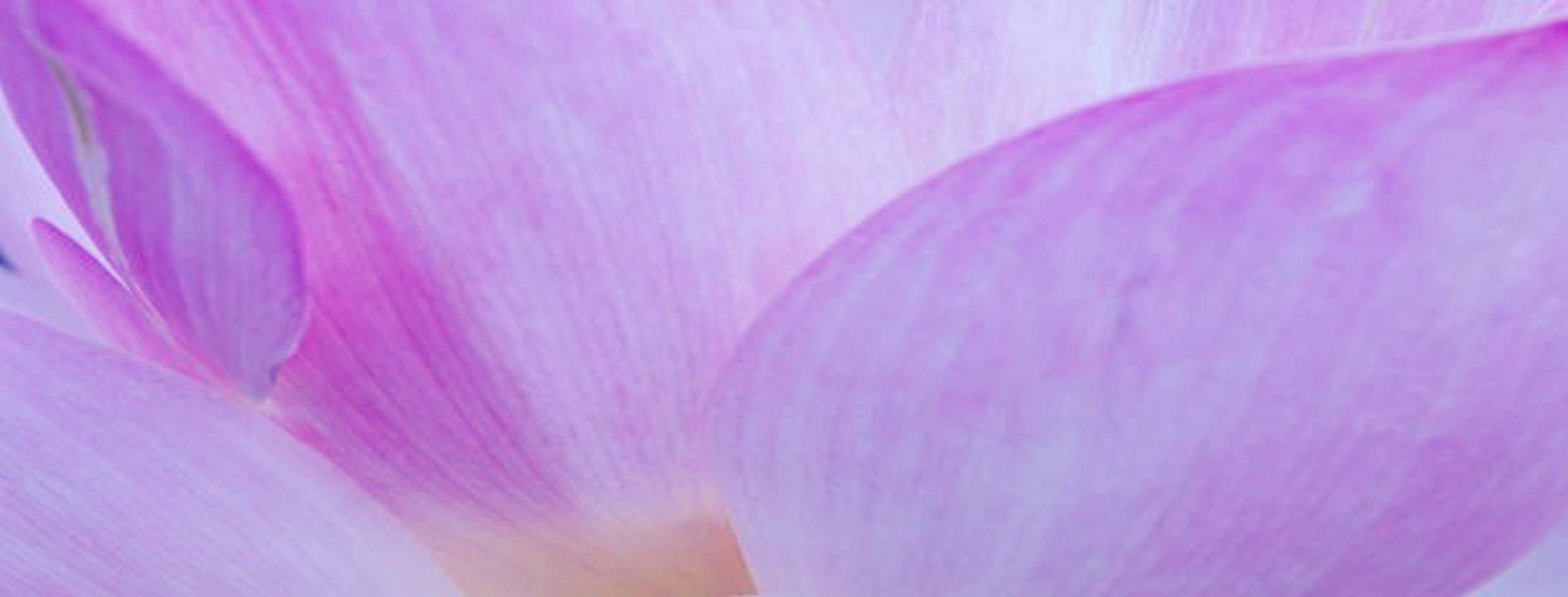 Le chakra coronal - Yoga Valence - l'étape ultime d'accomplissement